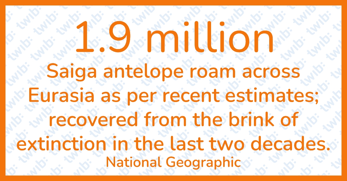 1.9 million Saiga antelope roam across Eurasia as per recent estimates ...