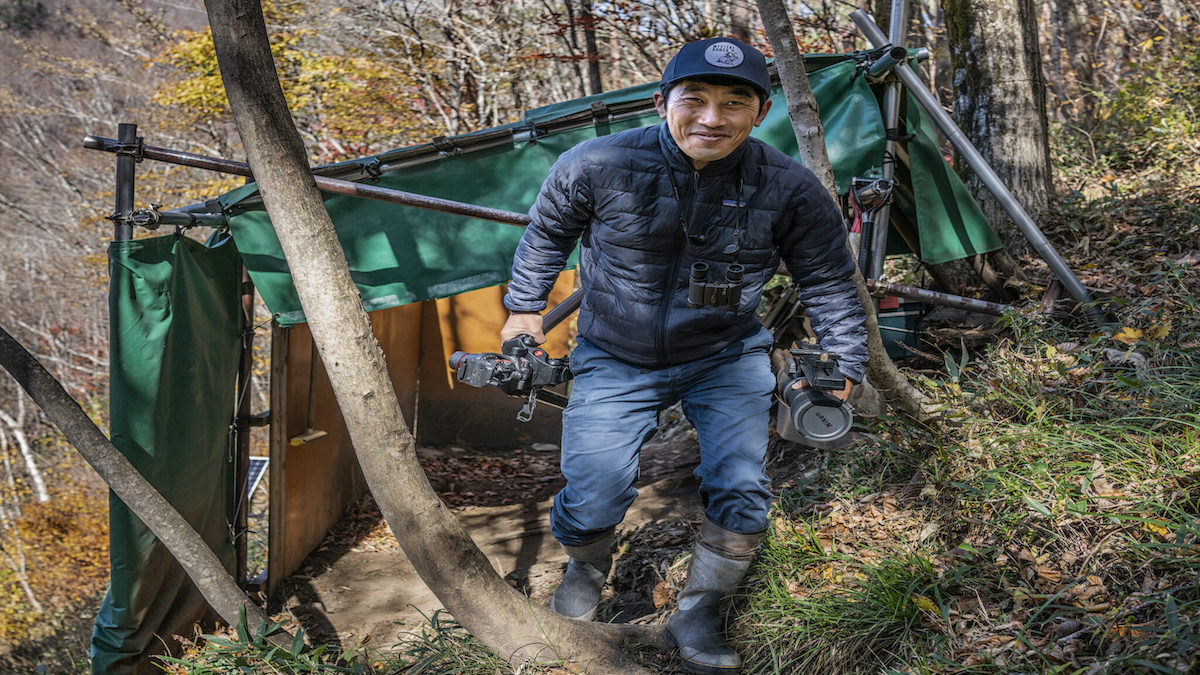 Rewilding, for the Sake of Biodiversity | twib.news