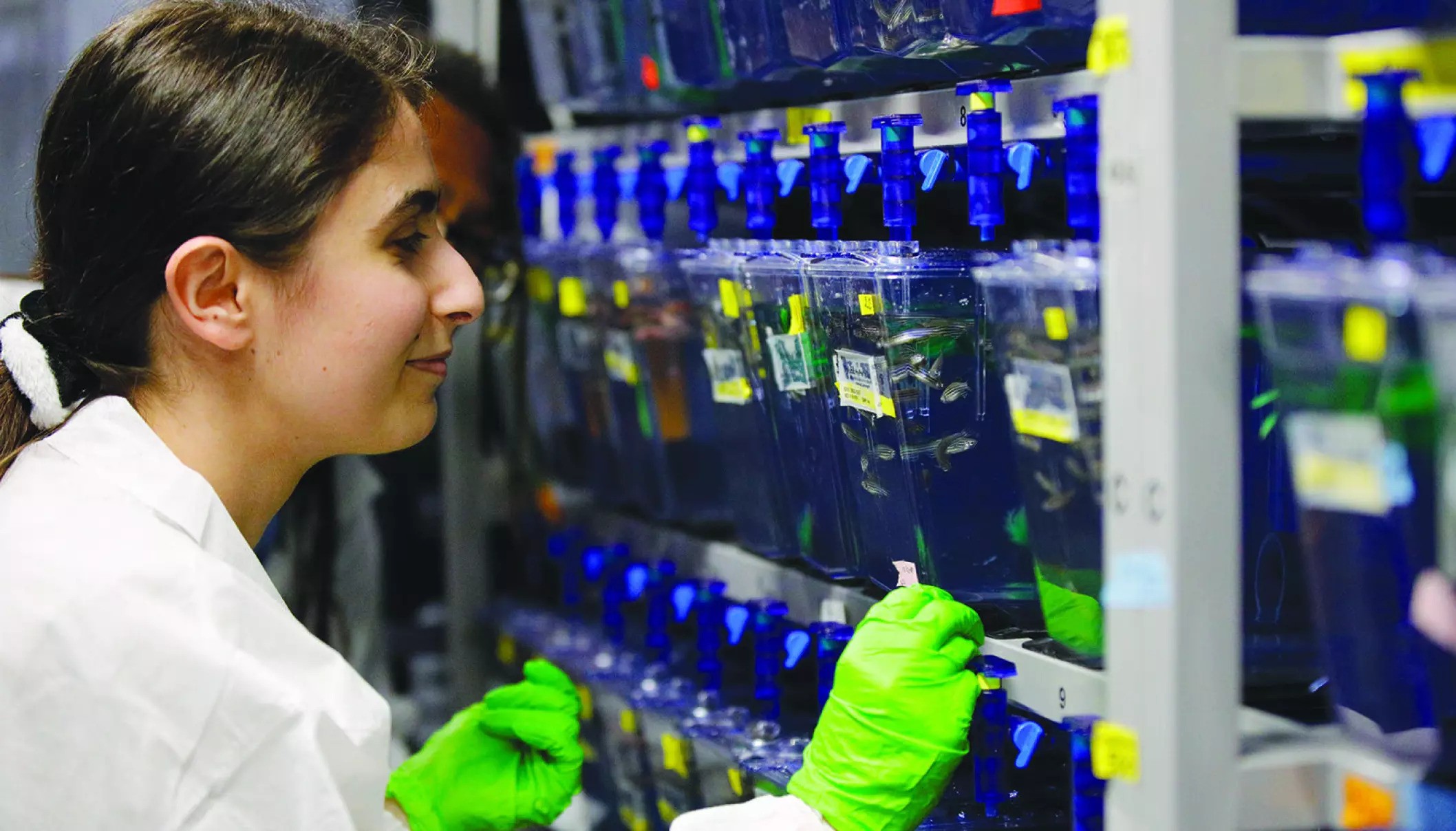 Can We Live up to 120 Years in Good Health? Yes, Researchers Say, and ...