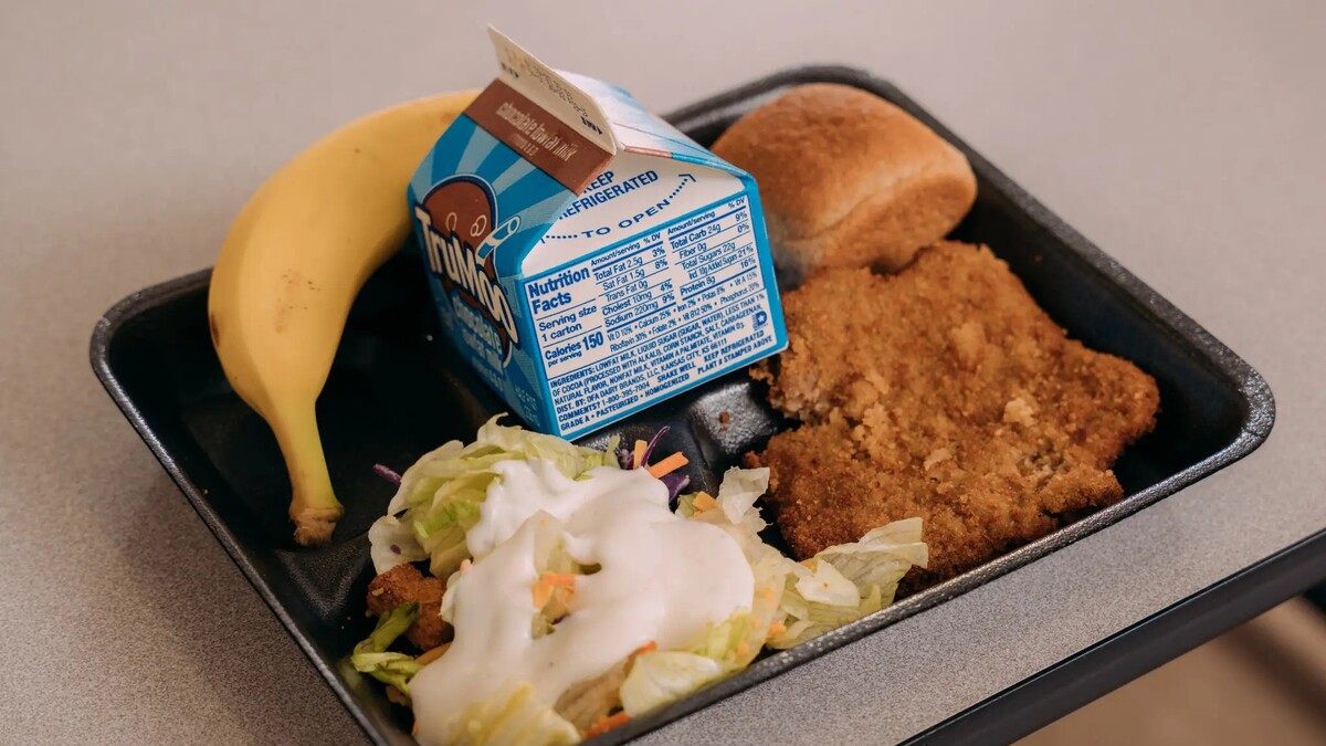 The Rise of Free School Meals for Everyone | twib.news