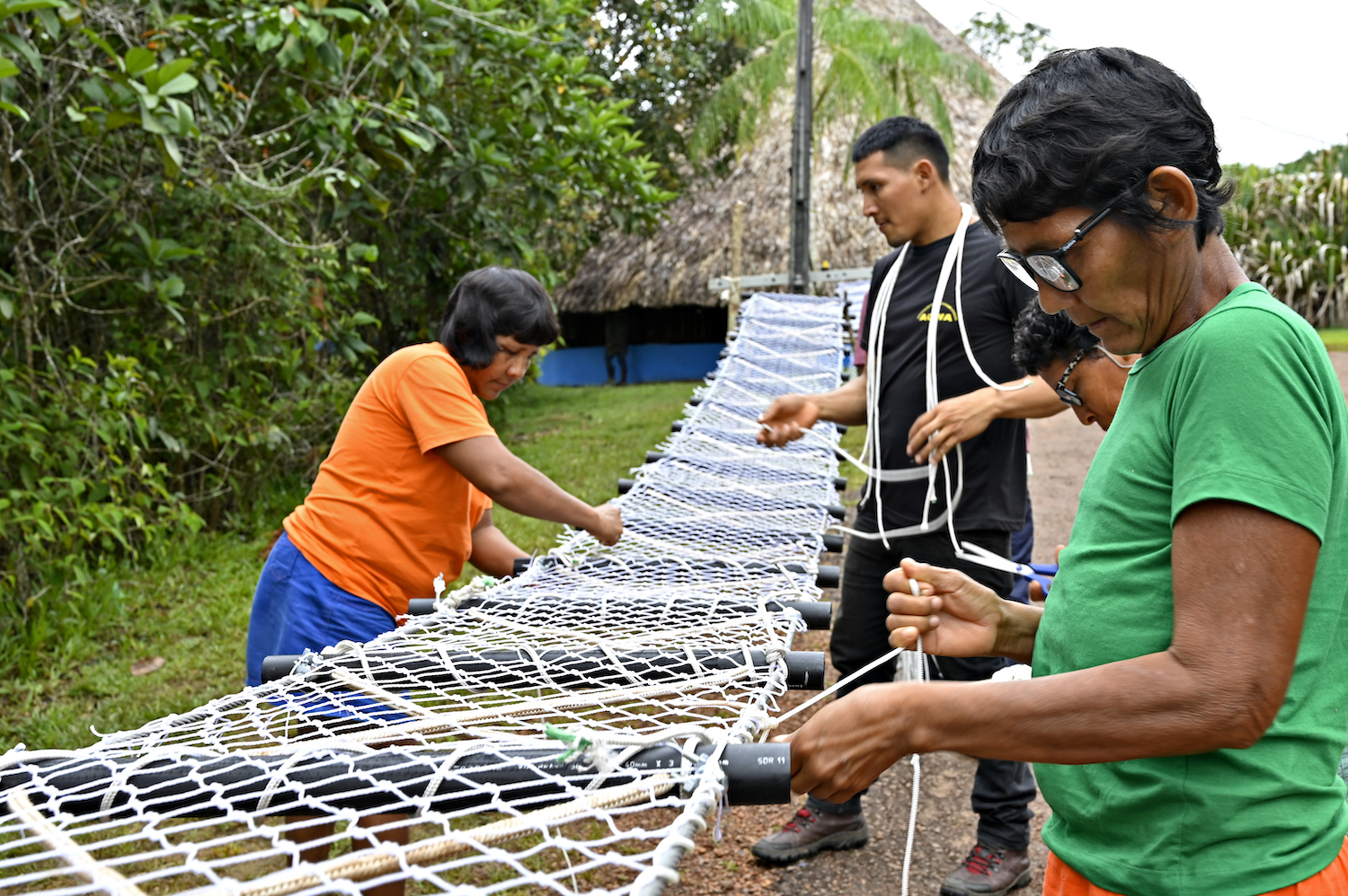 Connected Forest Canopy: a Bridge for Animals to Cross Safely | twib.news