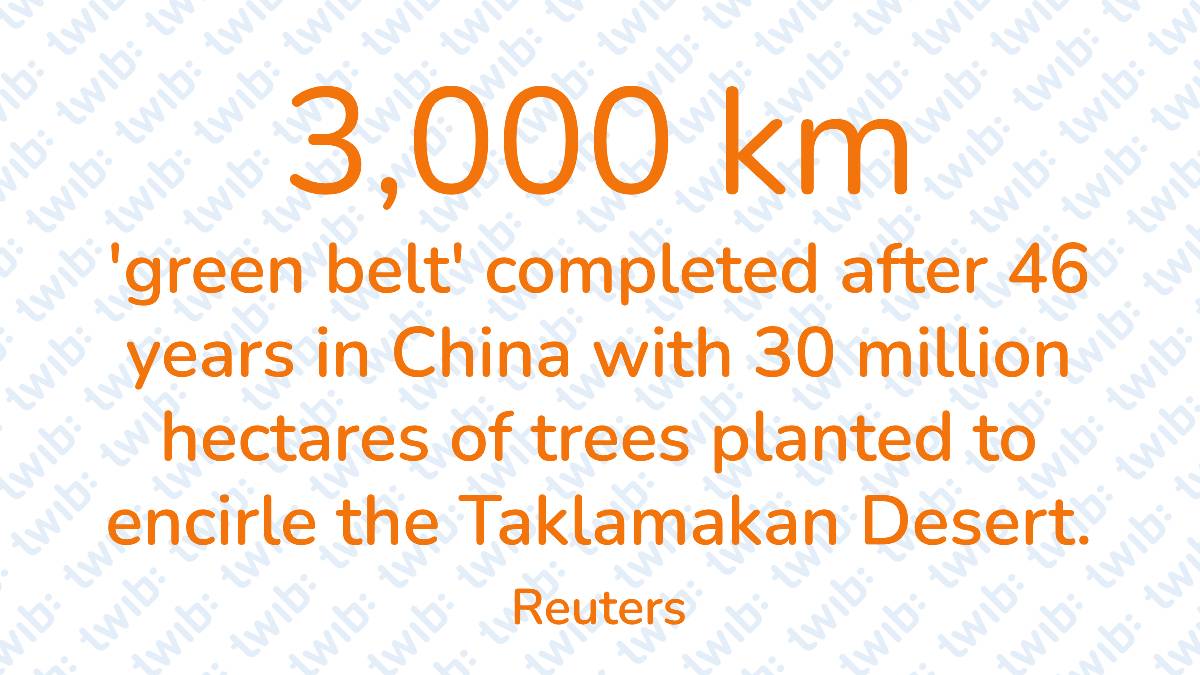 3,000 km 'green belt' completed after 46 years in China with 30 million ...