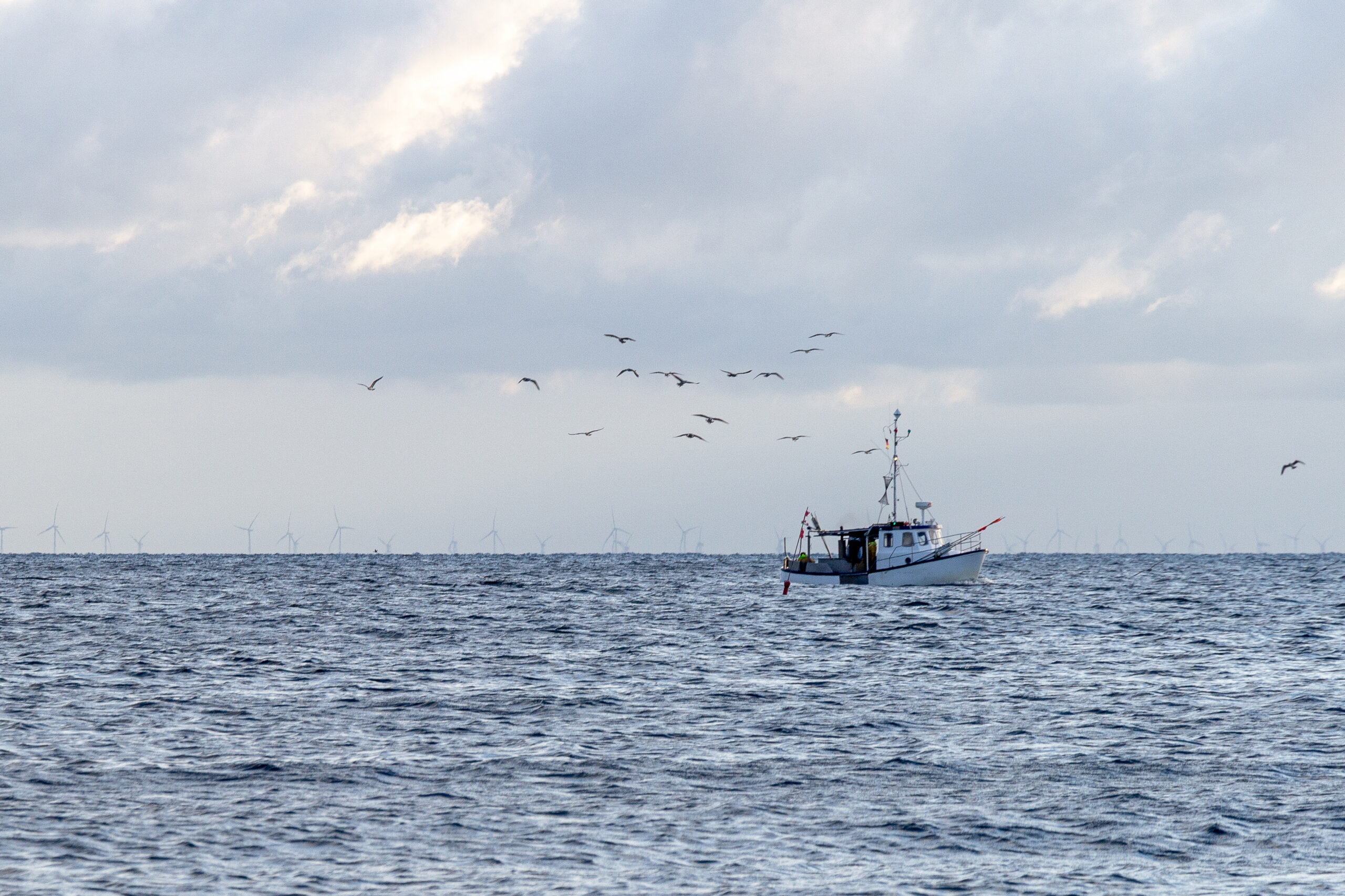 Protecting Our Waters, Protecting Our Fish | twib.news