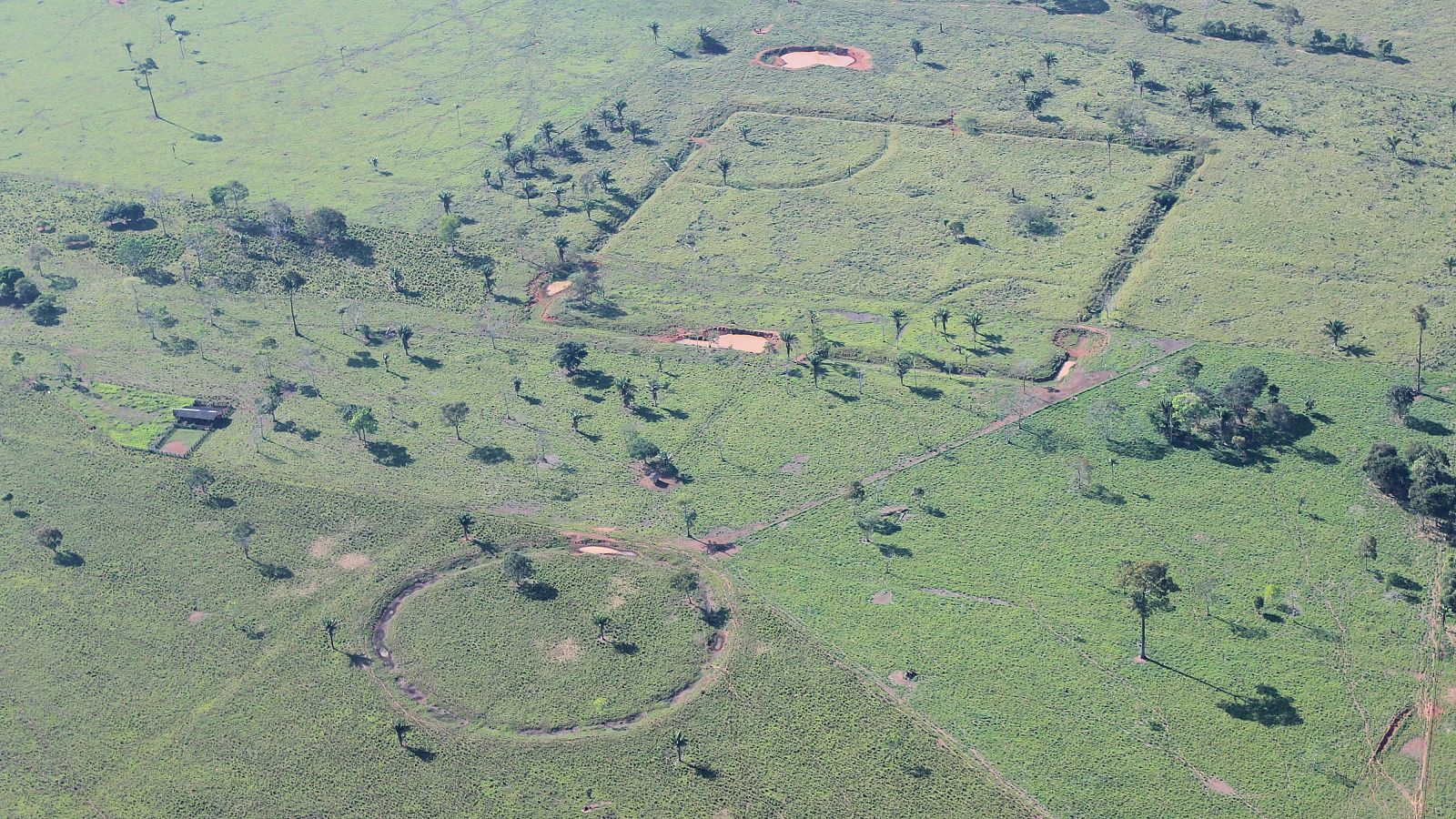 Major Discovery of an Ancient Civilization in the Heart of the Amazon ...