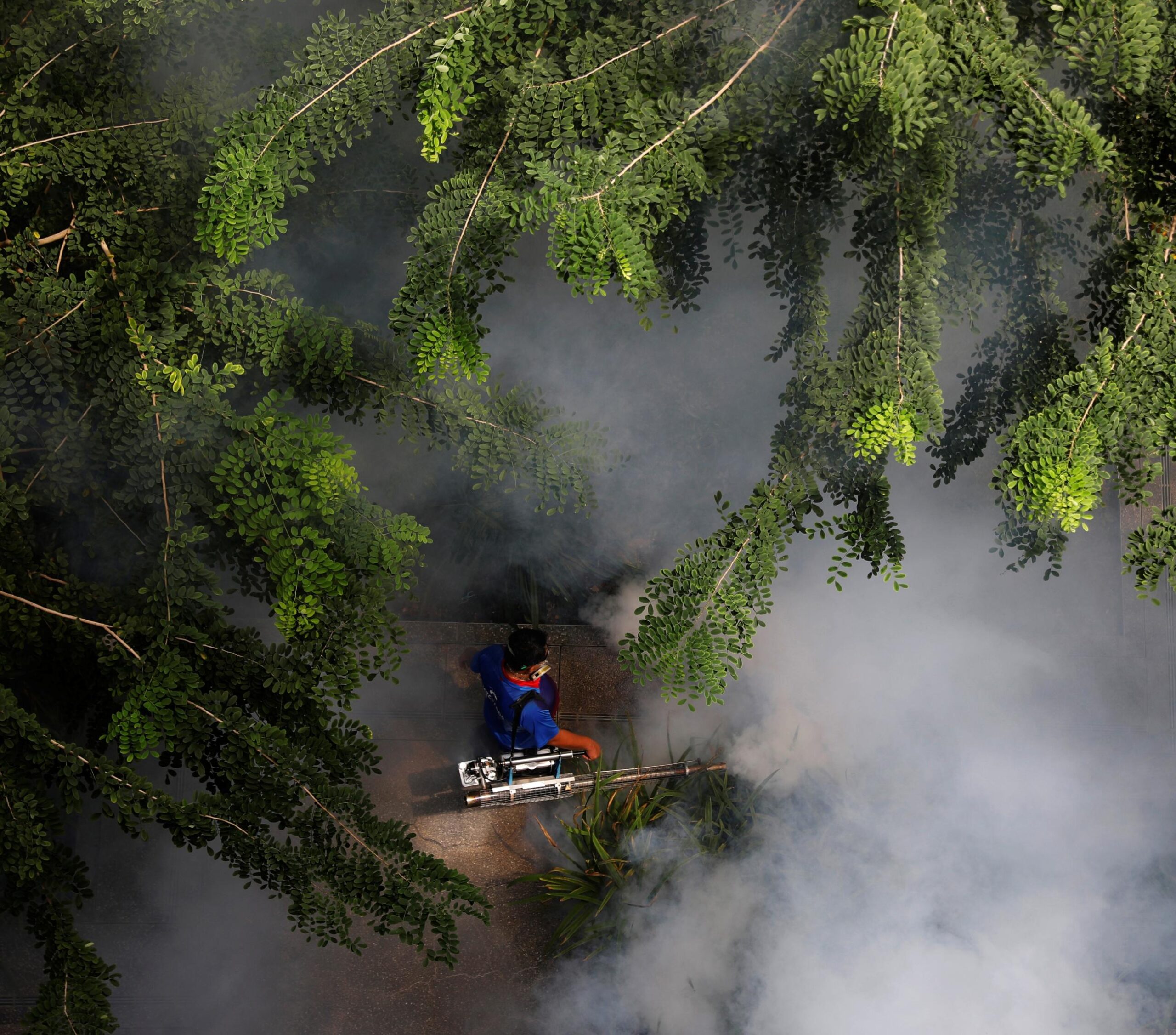 Malaria Measures: One Country's Success Is Another's Inspiration | twib ...