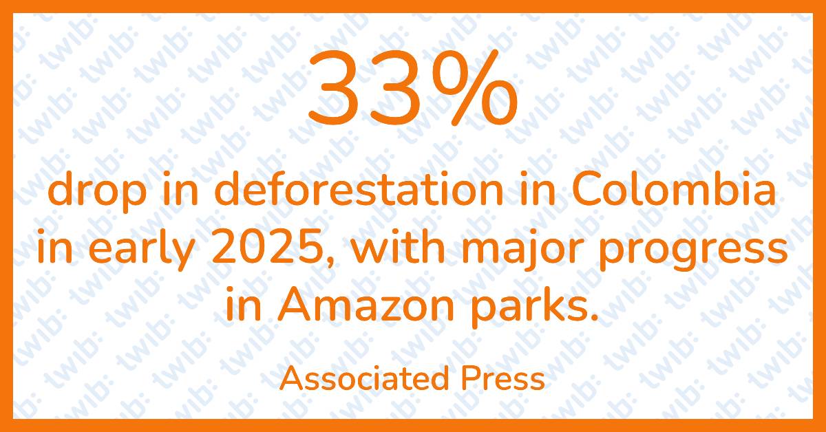 33% drop in deforestation in Colombia in early 2025, with major ...