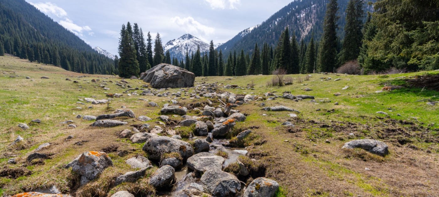 Ecological Corridor Set to Preserve Rich Biodiversity | twib.news