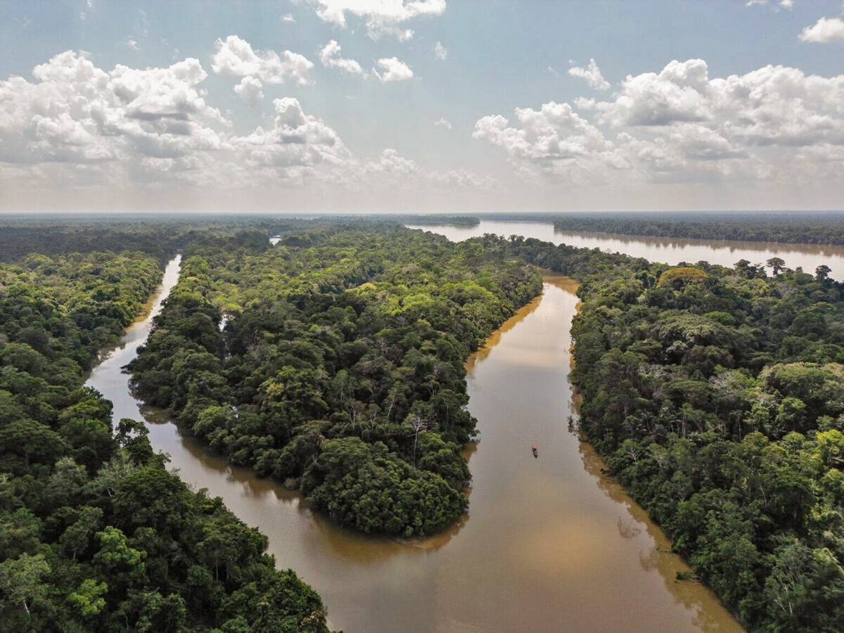 Historic Milestone for This Amazonian Region | twib.news