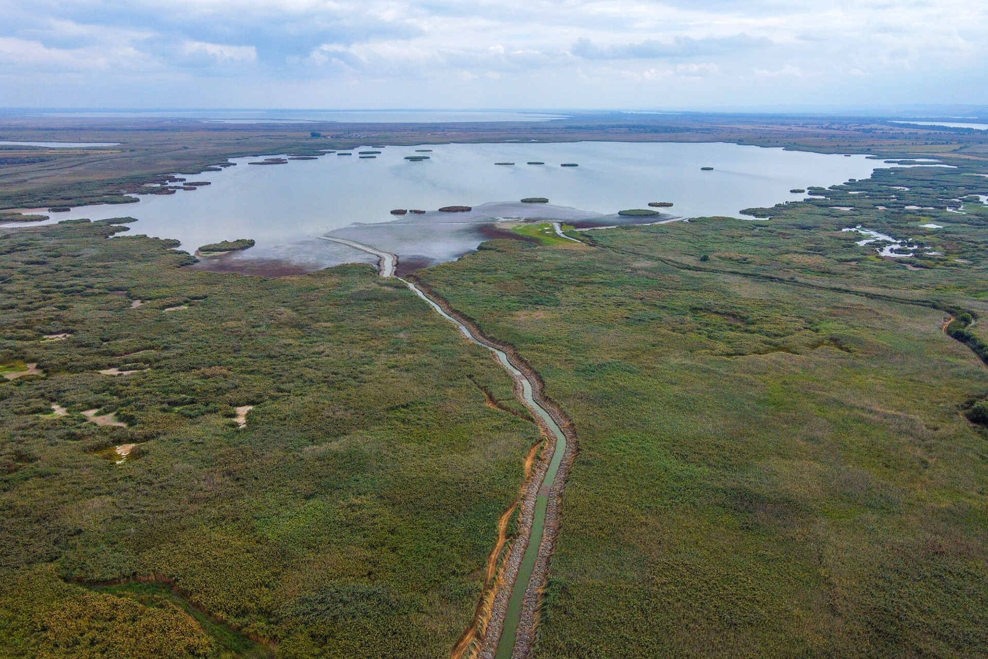 Wetland Springs Back to Life After Decades of Decline | twib.news